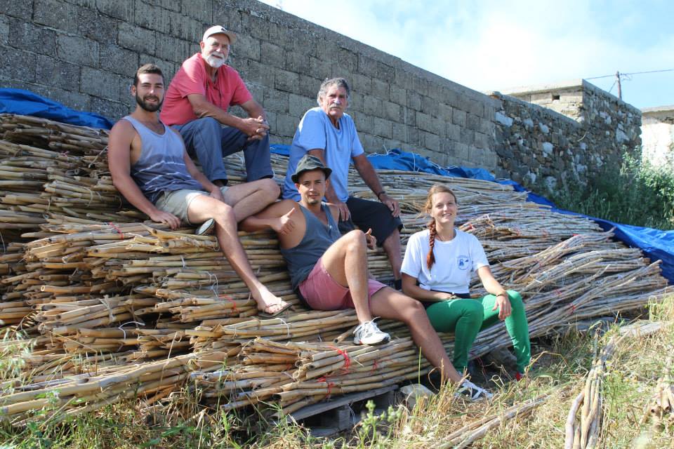 Father and son team re-enact ancient Greek sea crossing on a hand-built ...