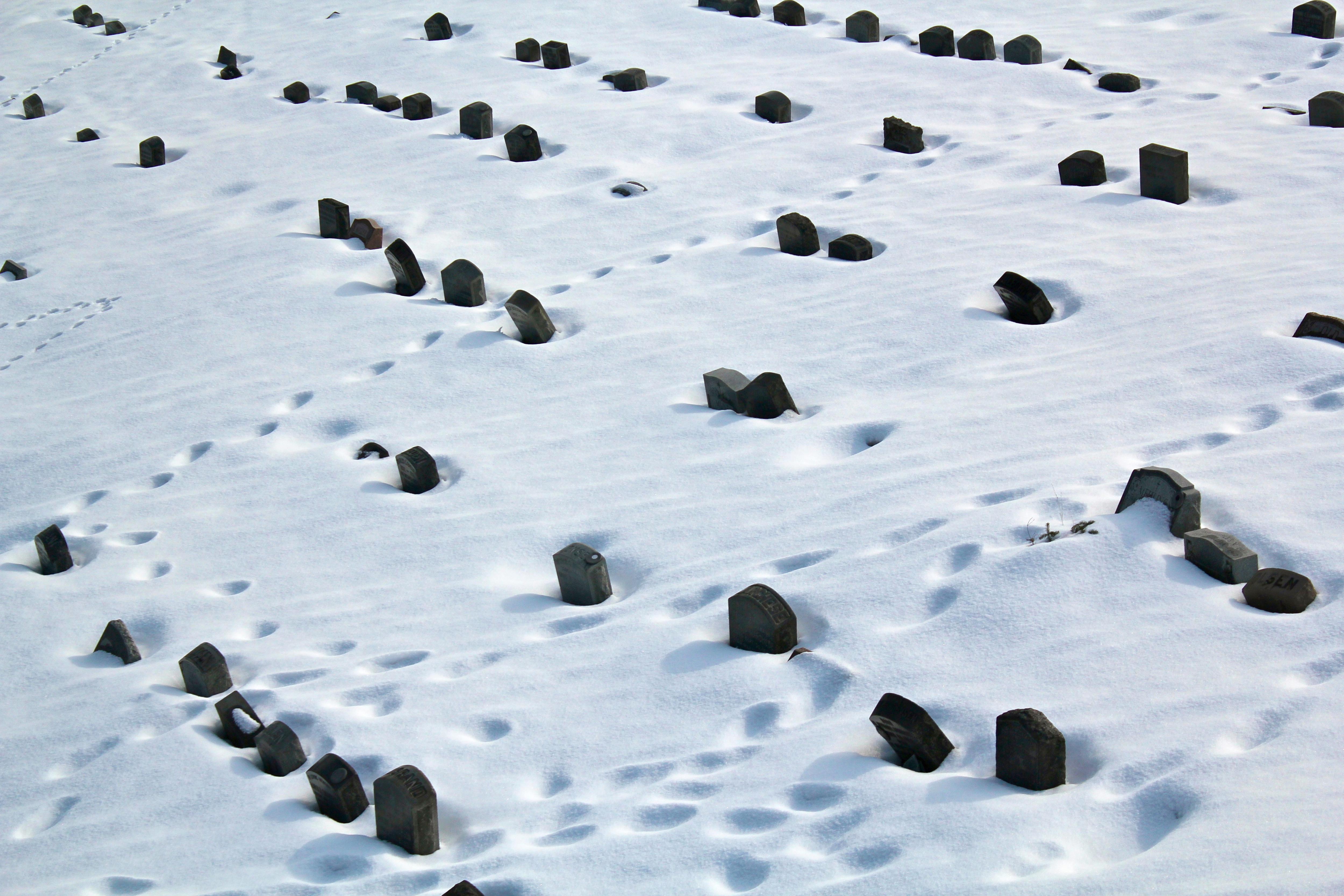 The evolution of the American graveyard - ABC listen