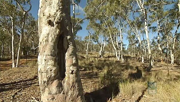 ACT border history - ABC News