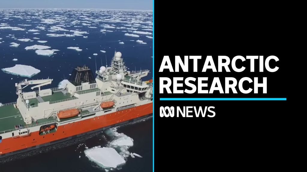 Garbologist gives advice on cutting back on waste - ABC News