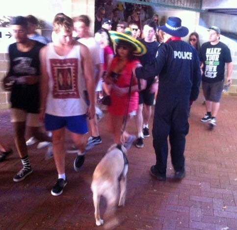 Few concert goers caught with drugs at festival - ABC News