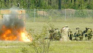 SAS to recruit directly from public - ABC News