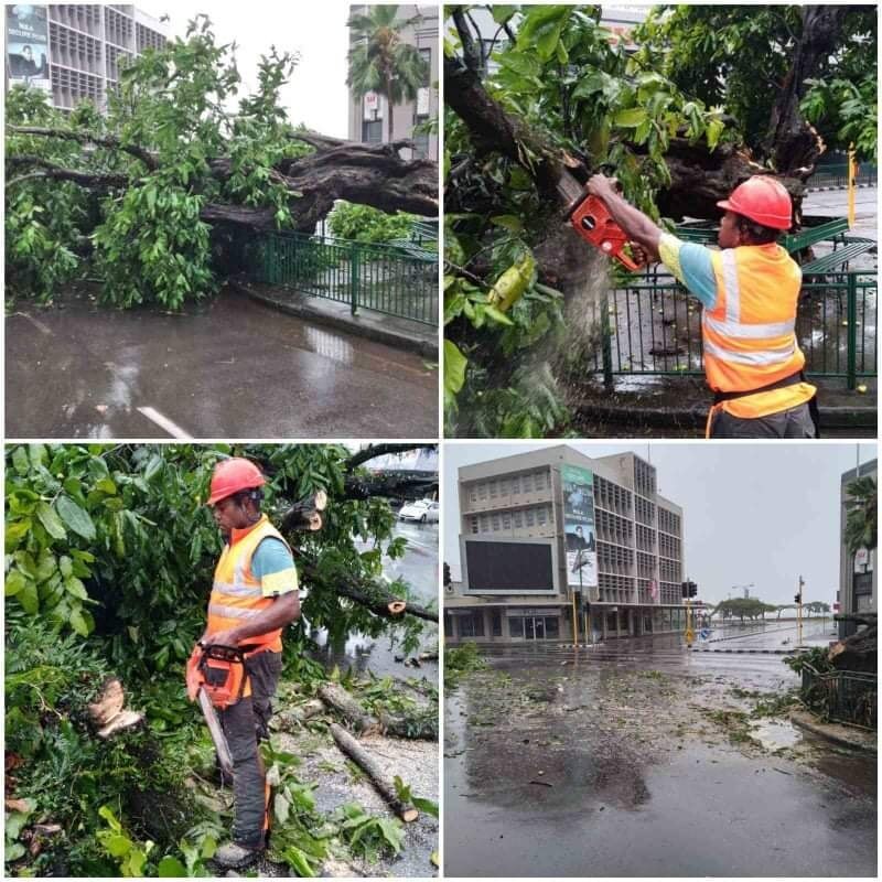 Fiji's iconic Ivi tree damaged during Cyclone Ana - ABC Pacific