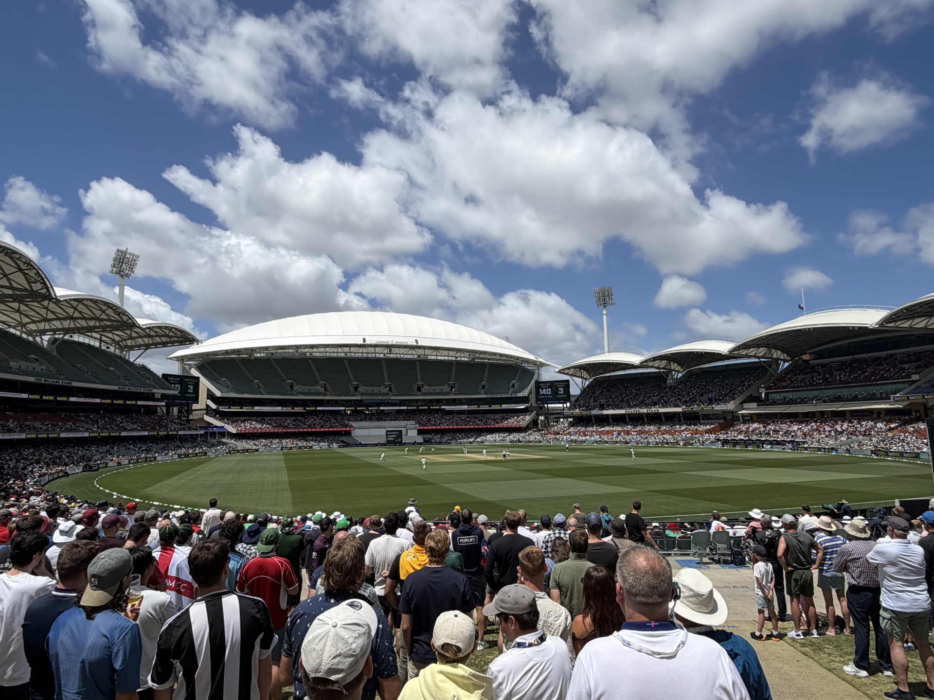 SACA breaks Adelaide Oval attendance records but says, "It was really ...