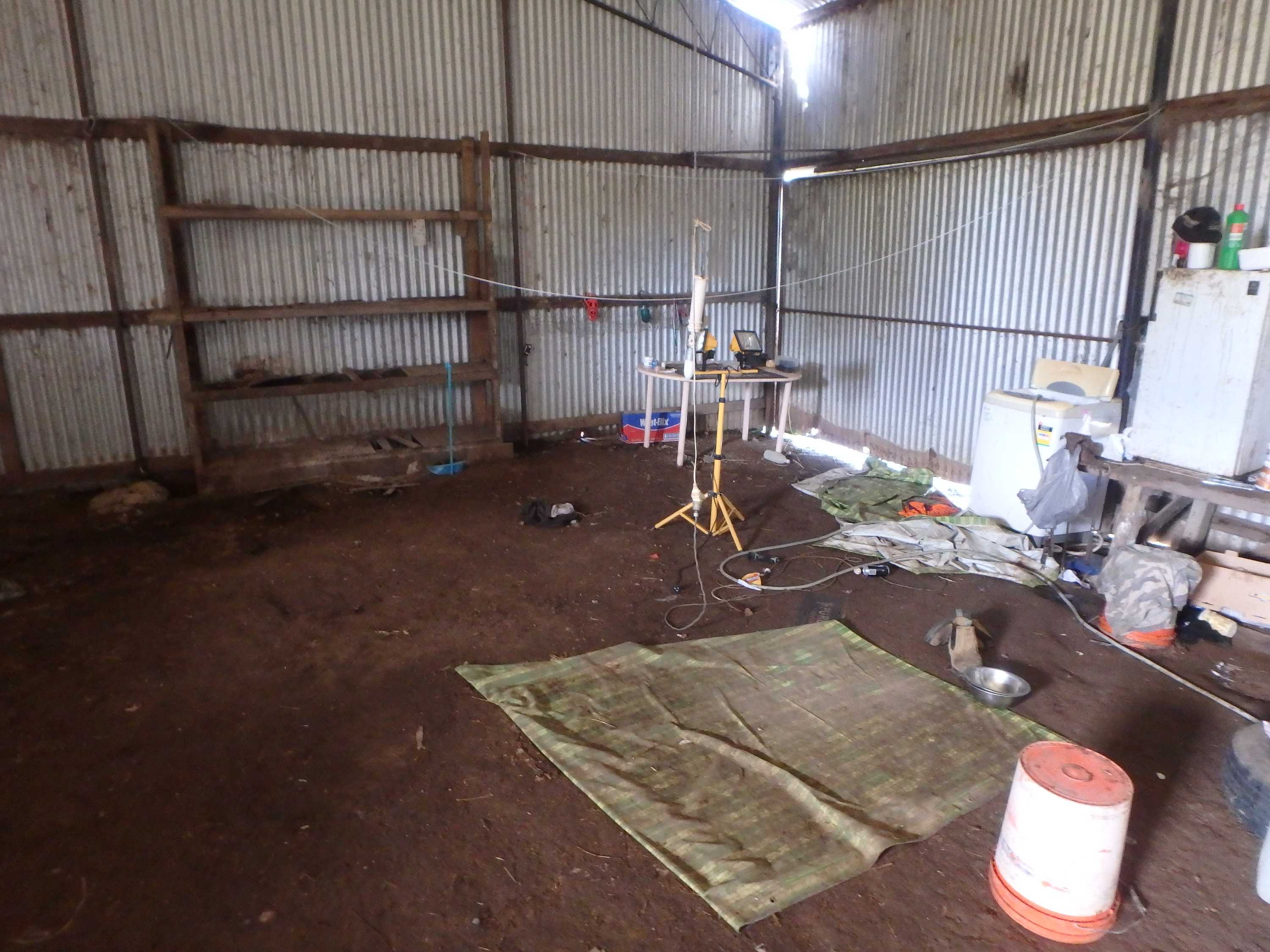 Greyhound racing: Animal cruelty images further validate industry shut ...