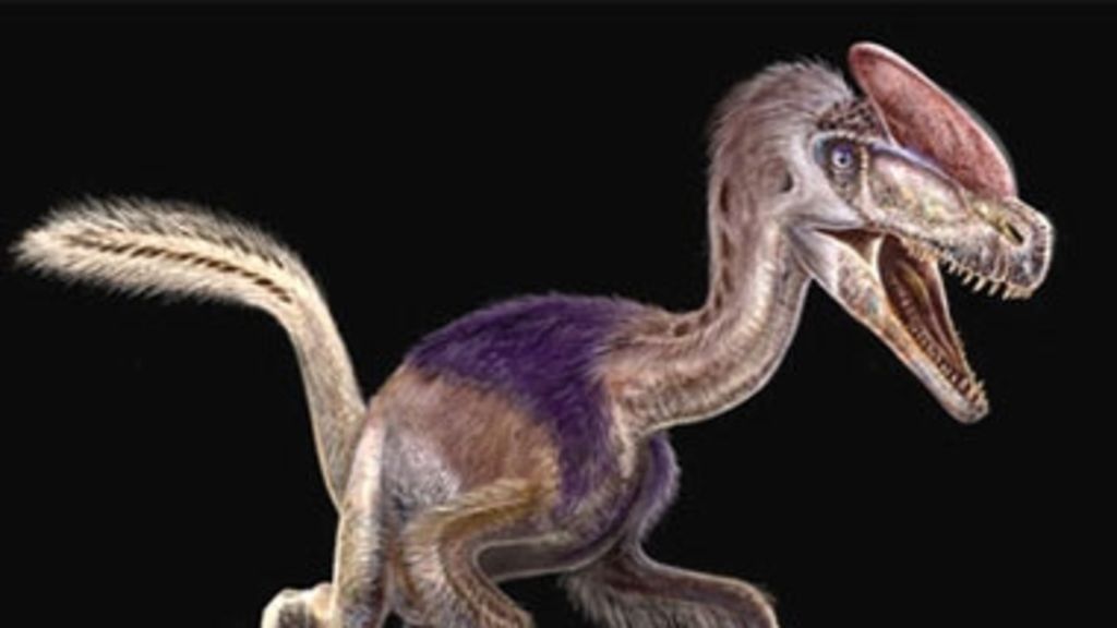 Study buries hope of dinosaur cloning - ABC News