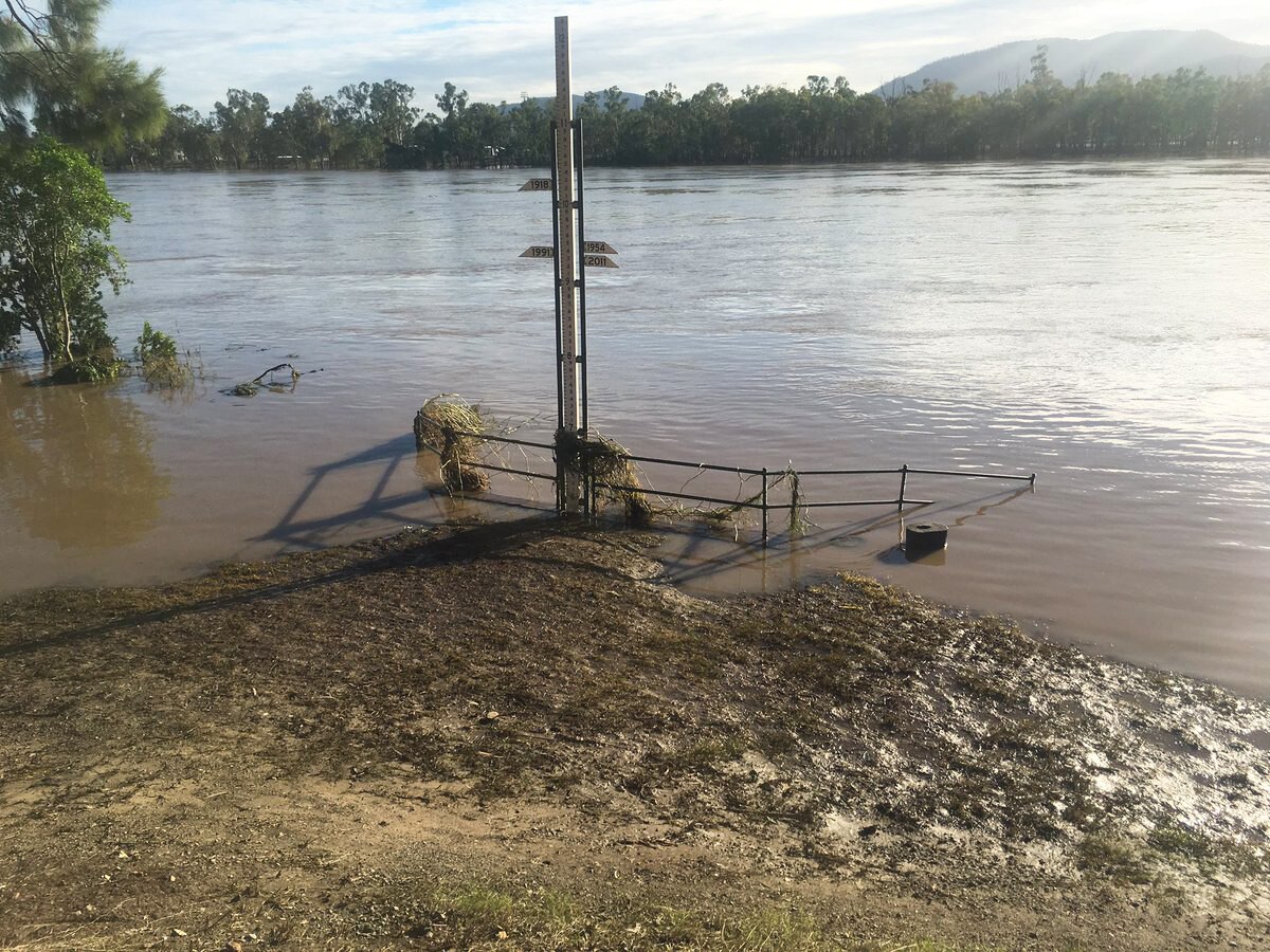 Rockhampton flood clean-up continues as industry gets back on its feet ...