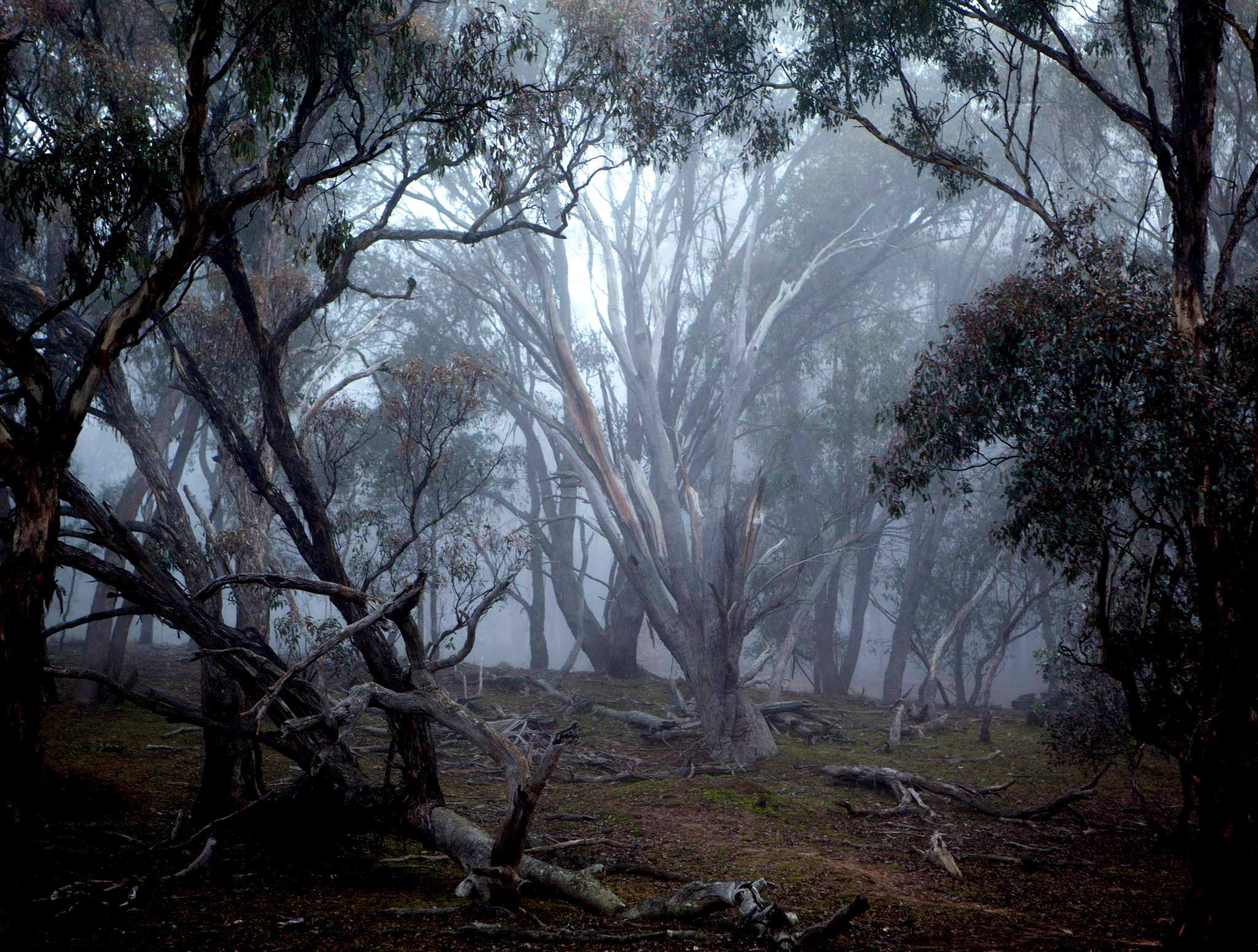 Canberra experiences wettest winter in 10 years, coldest nights since ...