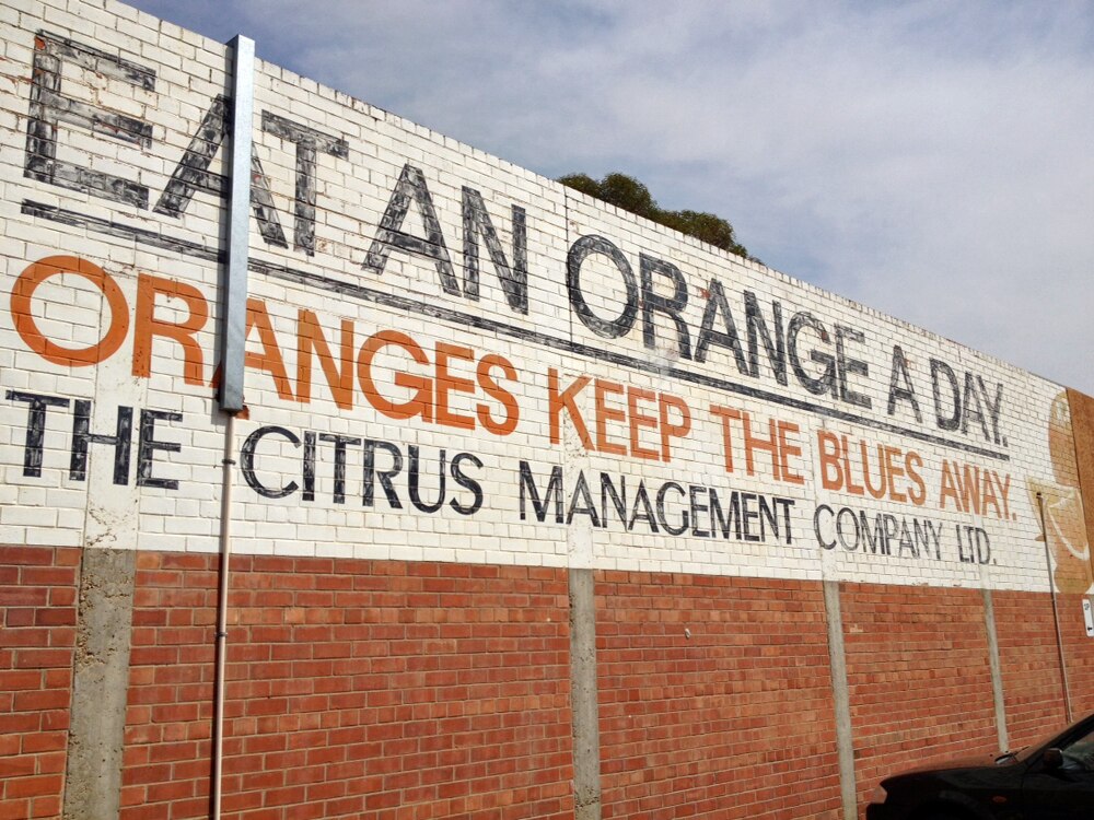 Citrus board demise prompts calls to tackle pests - ABC News
