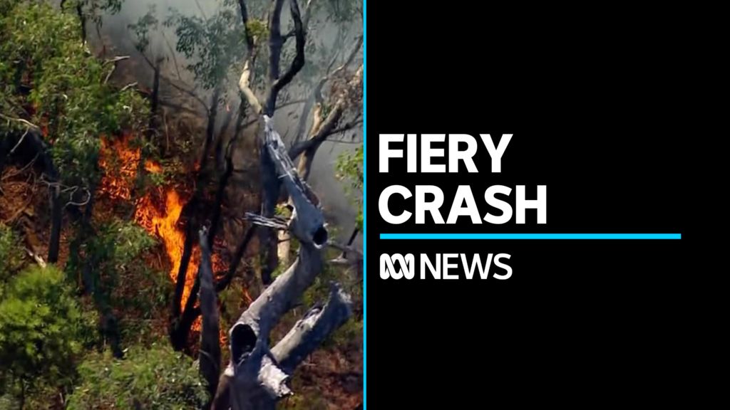Light plane crash kills two people south-west of Sydney - ABC News