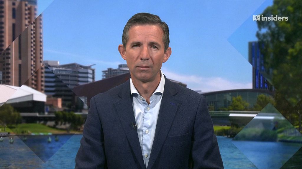 Senator Simon Birmingham says strike on aid workers a "mistake" - ABC News