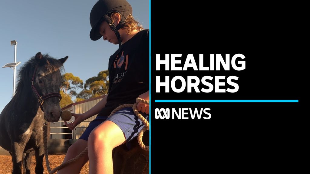Parents turn to equine therapy for children with autism, ADHD - ABC News