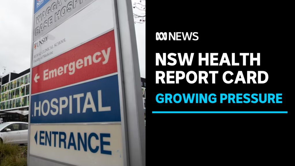 New data shows NSW hospitals under growing pressure - ABC News