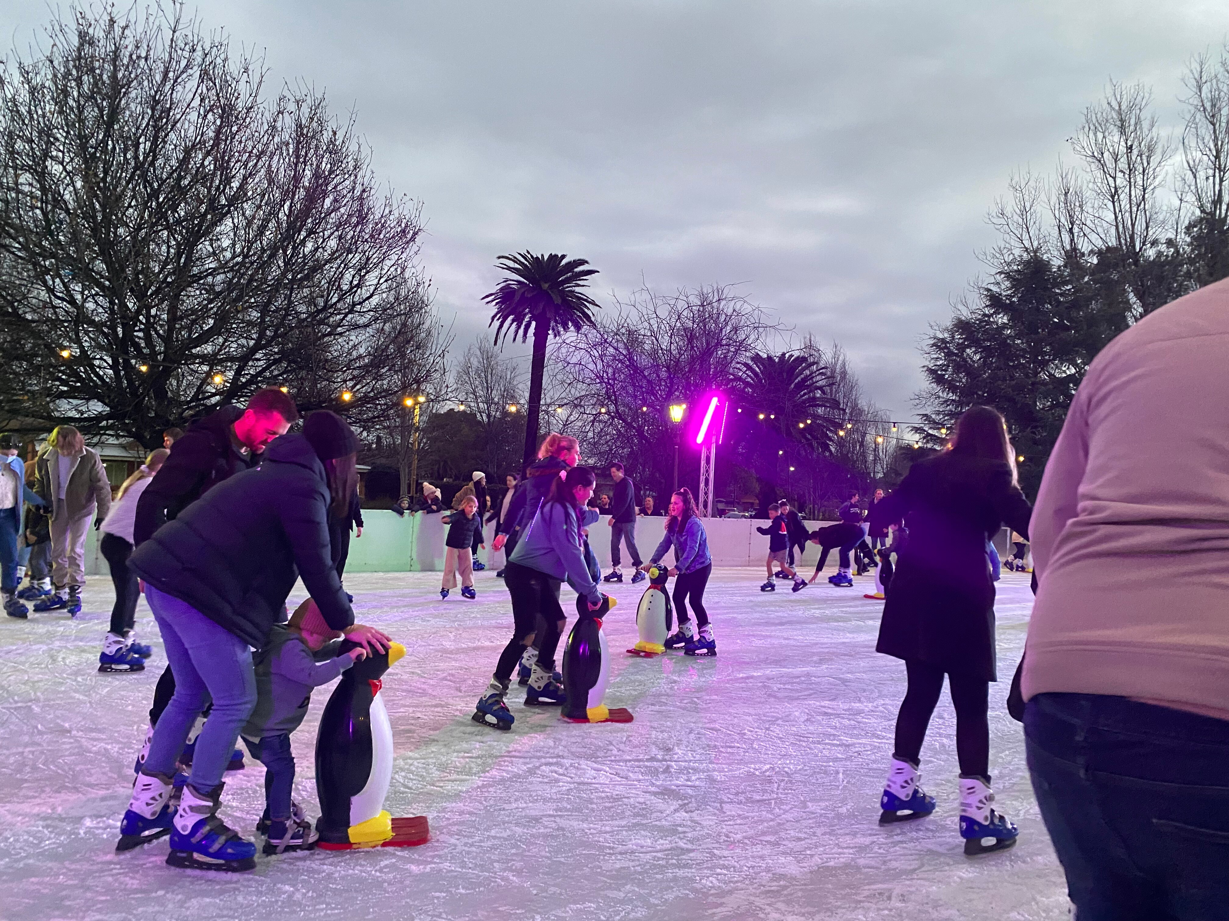 Wagga Wagga winter festival attracts thousands despite last-minute ...