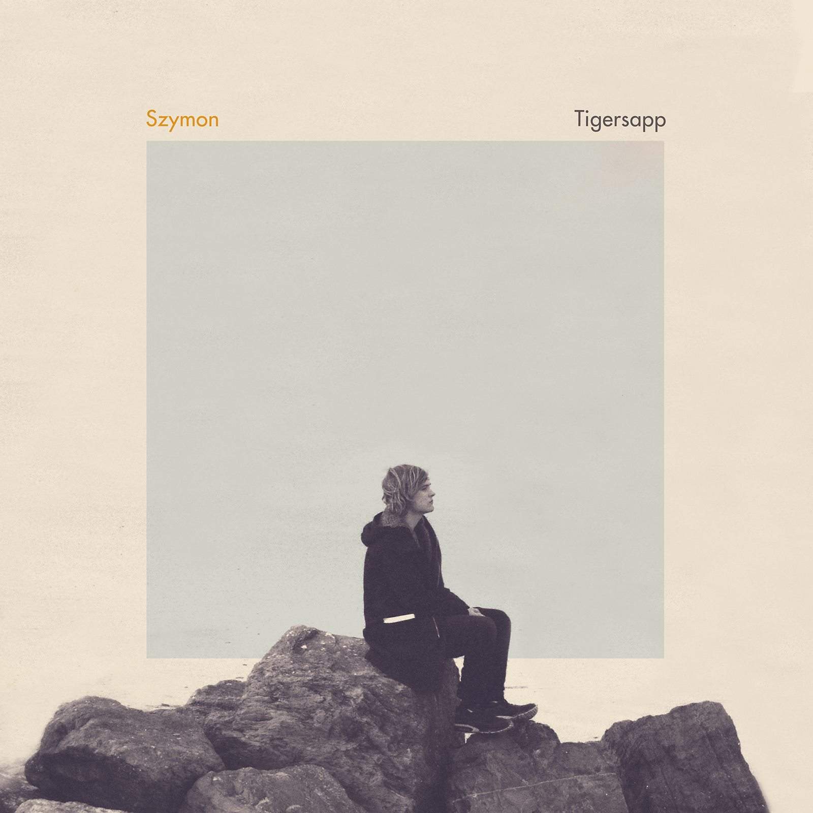 Gifted young musician Szymon Borzestowski's record released three years ...