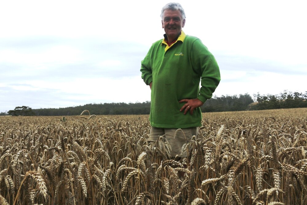 Bruny Island in Tasmania will harvest Australia's southern most wheat ...