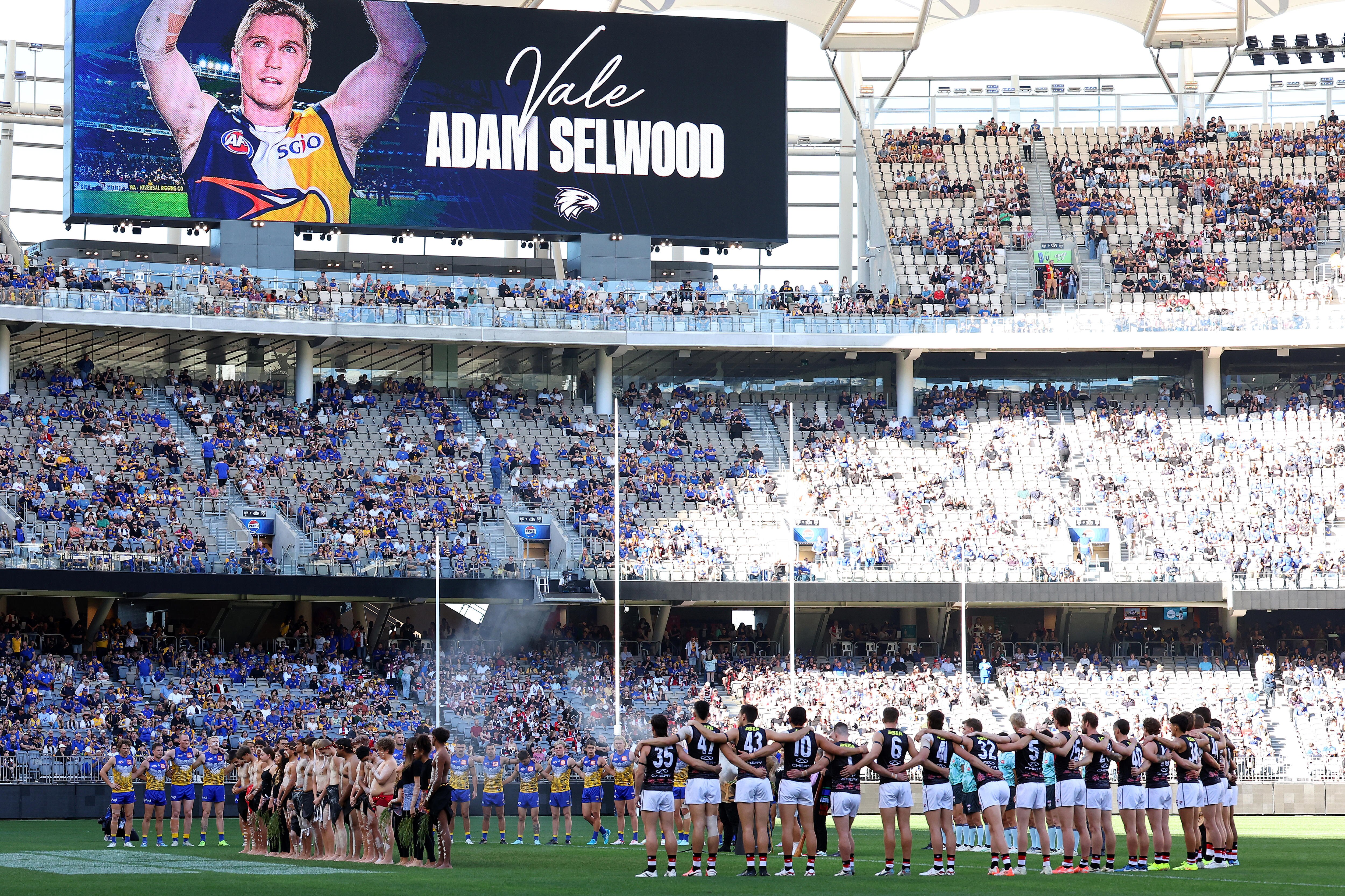 Cow caught chewing on a large python in outback northern Australia ...