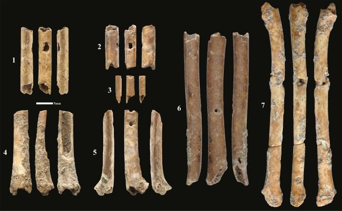12,000-year-old bird bones found to be prehistoric flutes - ABC Classic