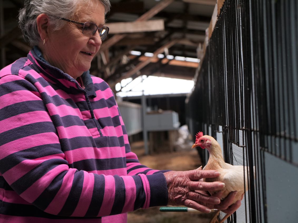 The Devonport Poultry Club has been around for 105 years, but it may be ...