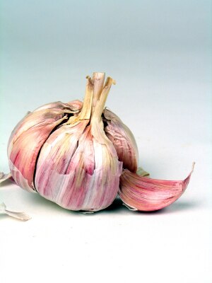 Learning to love garlic: an Australian food story - ABC listen