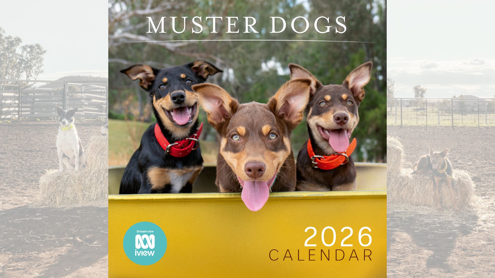 ABC Muster Dogs Product Range - ABC Shop
