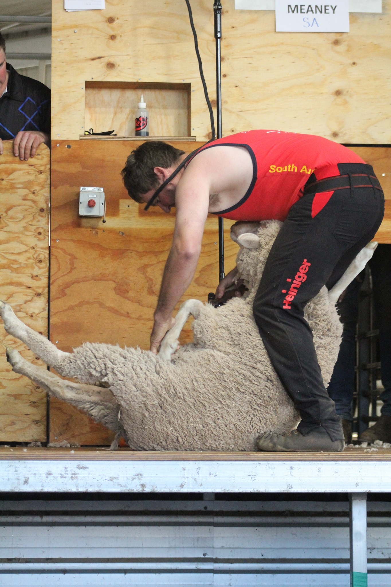 South Australian Country Hour - ABC listen