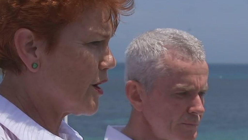 One Nation attempts show of unity at Great Barrier Reef - ABC News