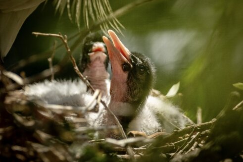 Jessica van Vonderen - ABC News