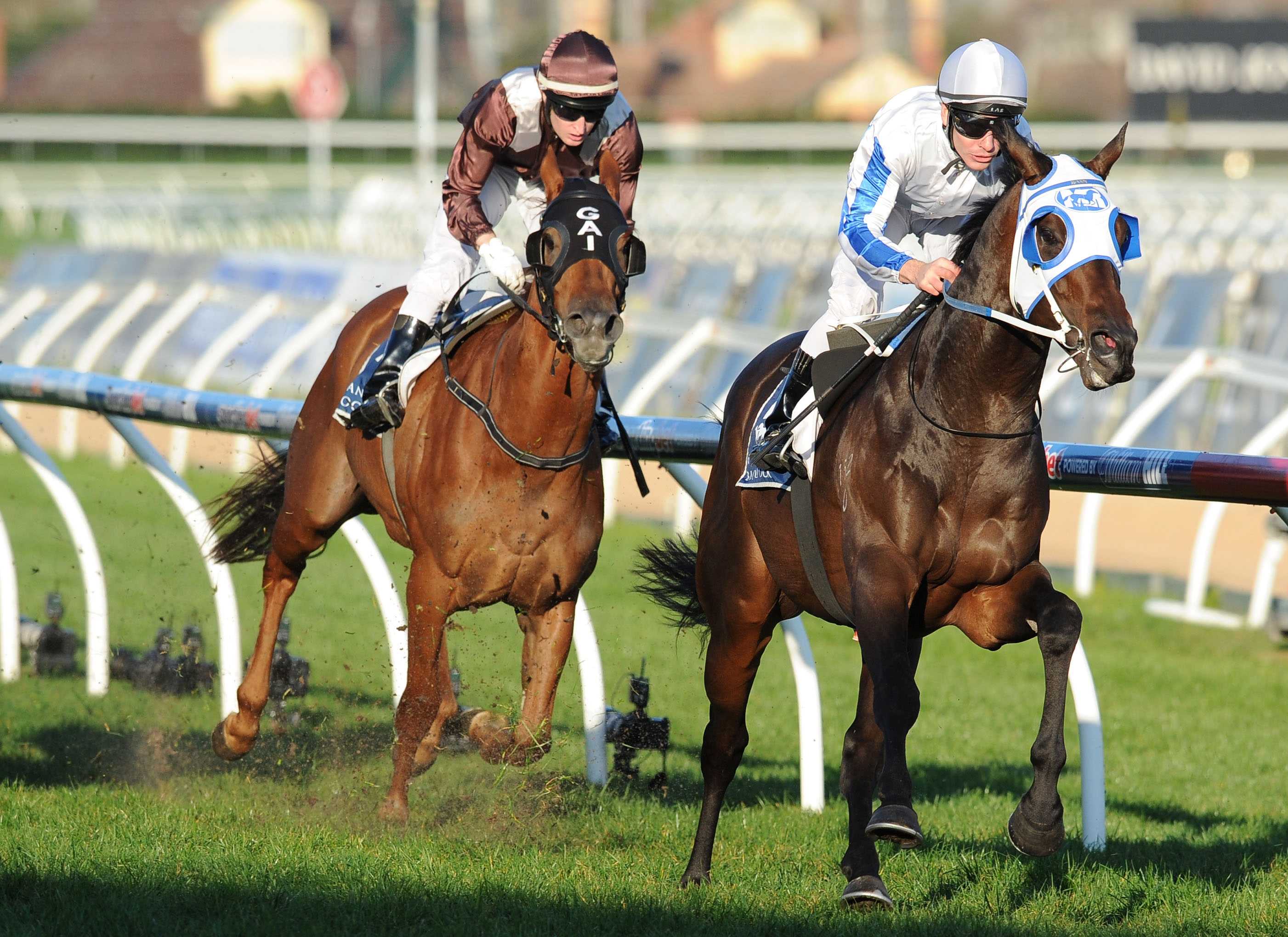 Peter Moody's Dissident wins season's first Group One in Memsie Stakes ...