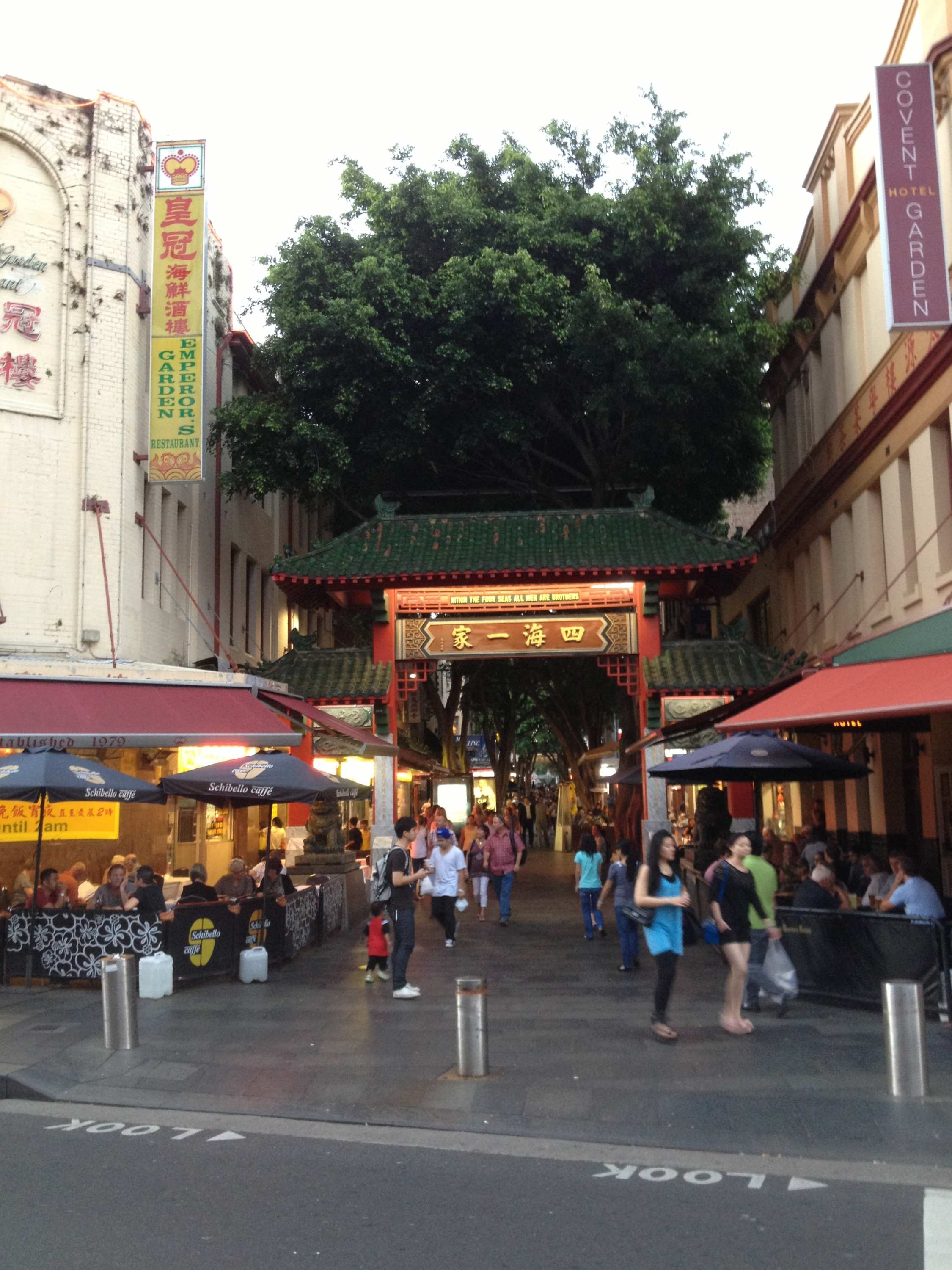 King Fong - the training of a number one son - ABC listen