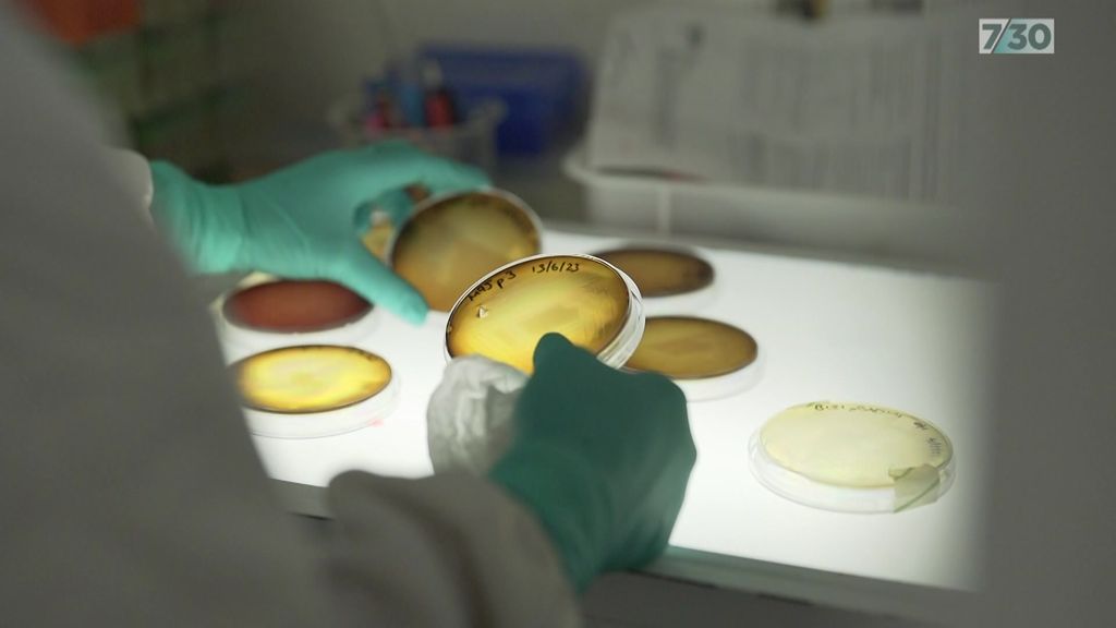 Researchers close to a vaccine for strep-A and rheumatic heart disease ...