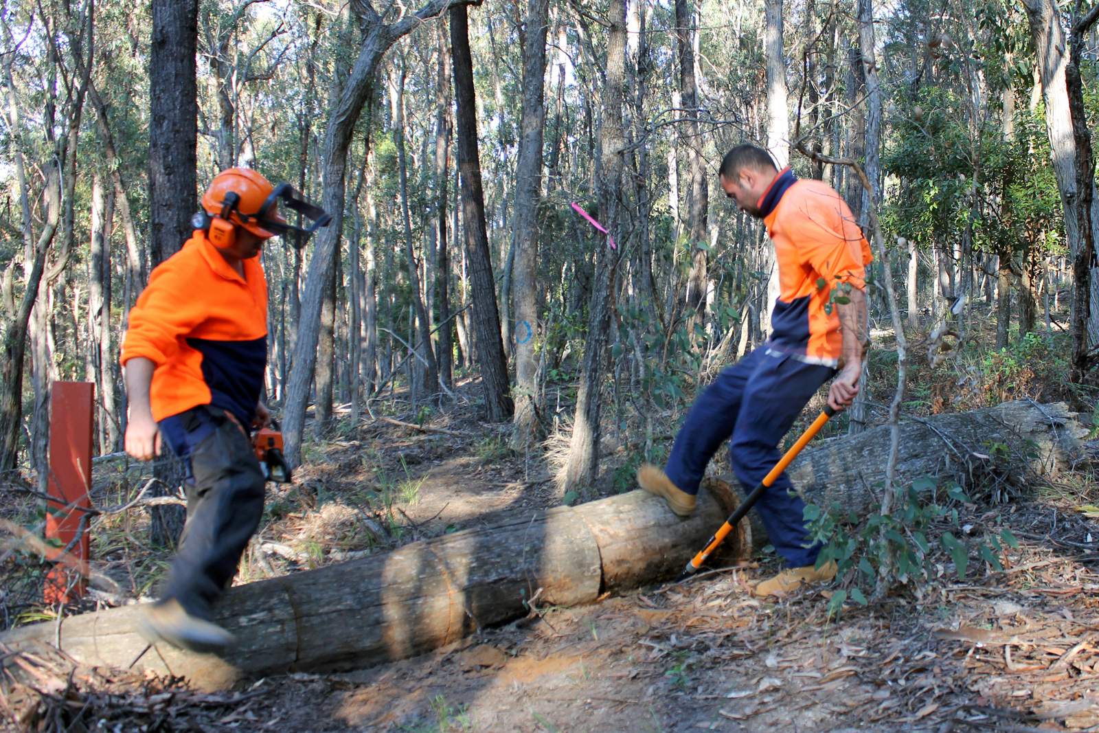 Bundian Way: Aboriginal pathway open for business - ABC News