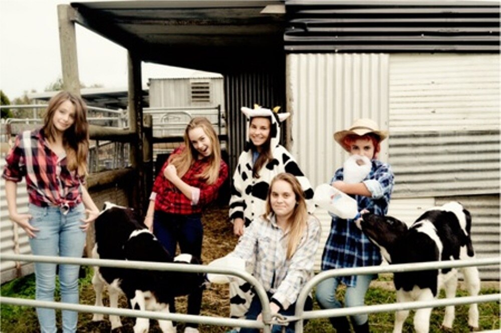 Cow project gives students hands-on learning - ABC News