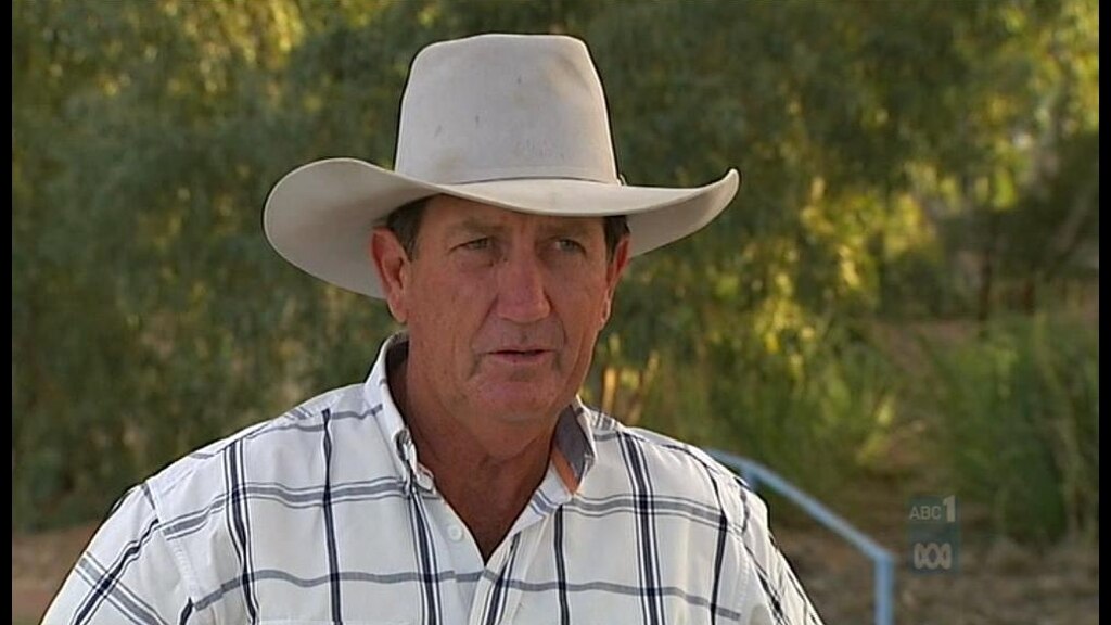 Regional Mayor warns of declining political muscle - ABC News