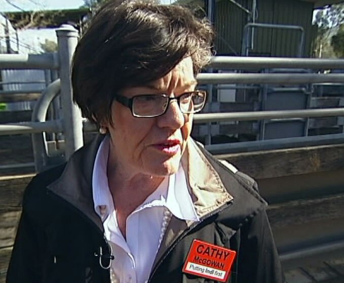 Vote count in Victorian seat of Indi almost complete - ABC News