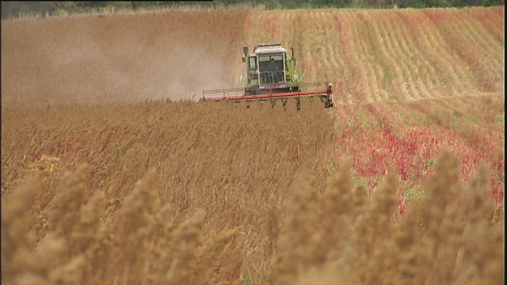 Politicians asked to support campaign against mining on farms - ABC News
