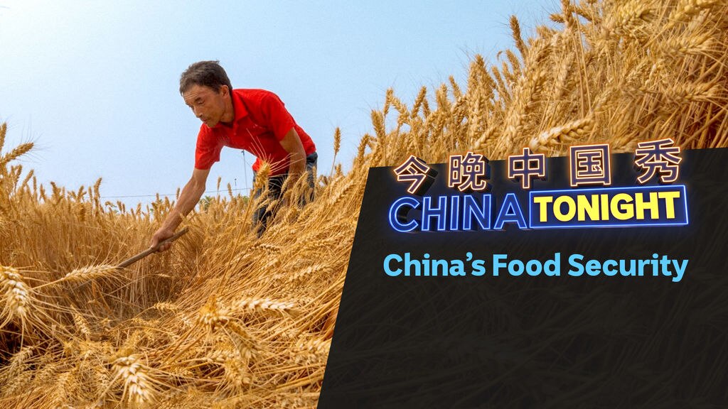 China's food security problem - ABC News