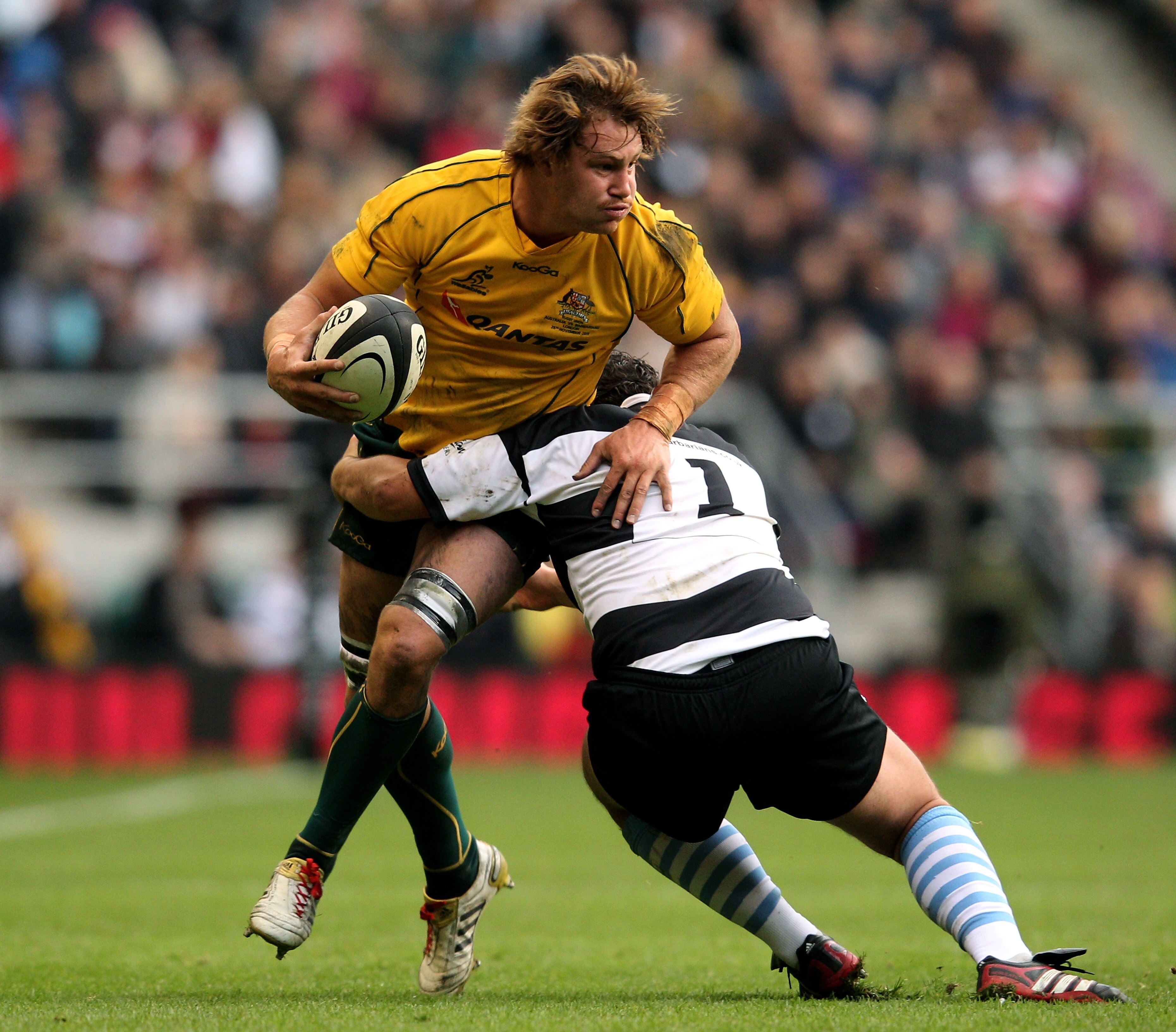 Scott Higginbotham seen as the key for Wallabies in Rugby Championship ...