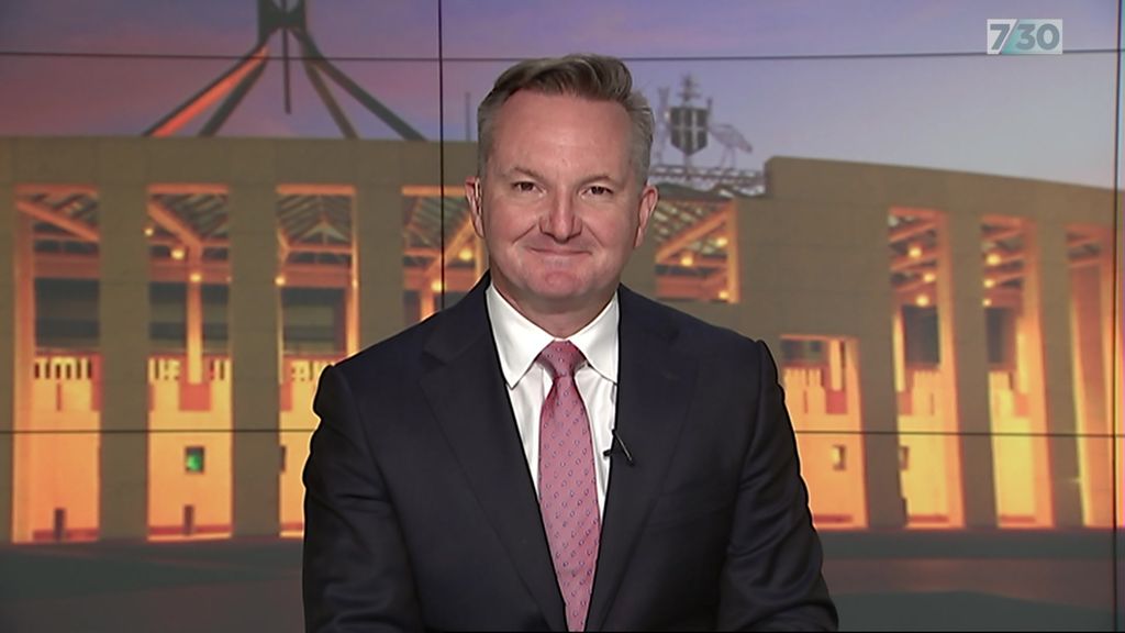 Chris Bowen says climate change is a key economic issue - ABC News