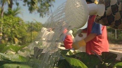 Stephanie Alexander - Gardening Australia