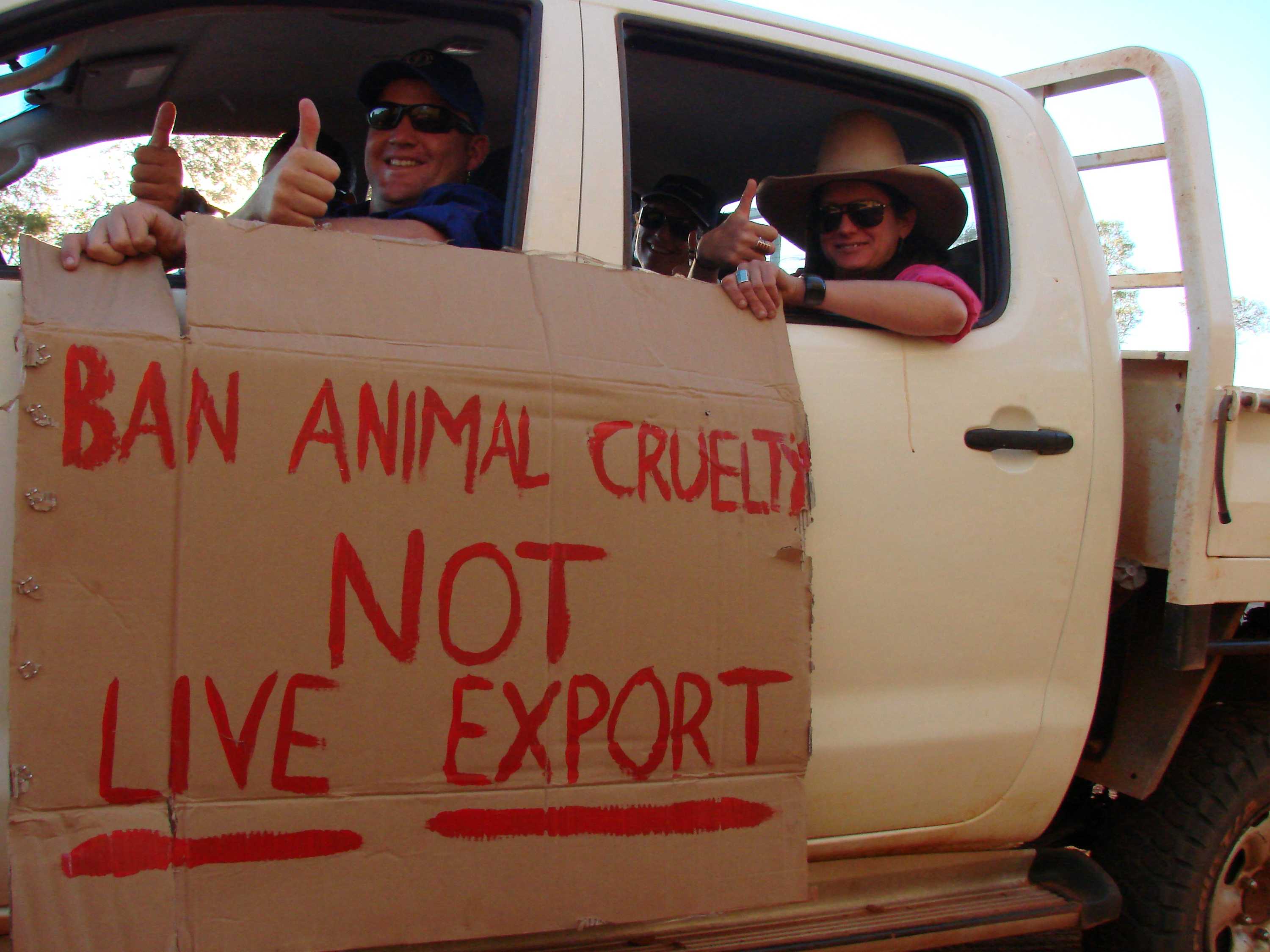 Live animal export industry finding its voice - ABC News
