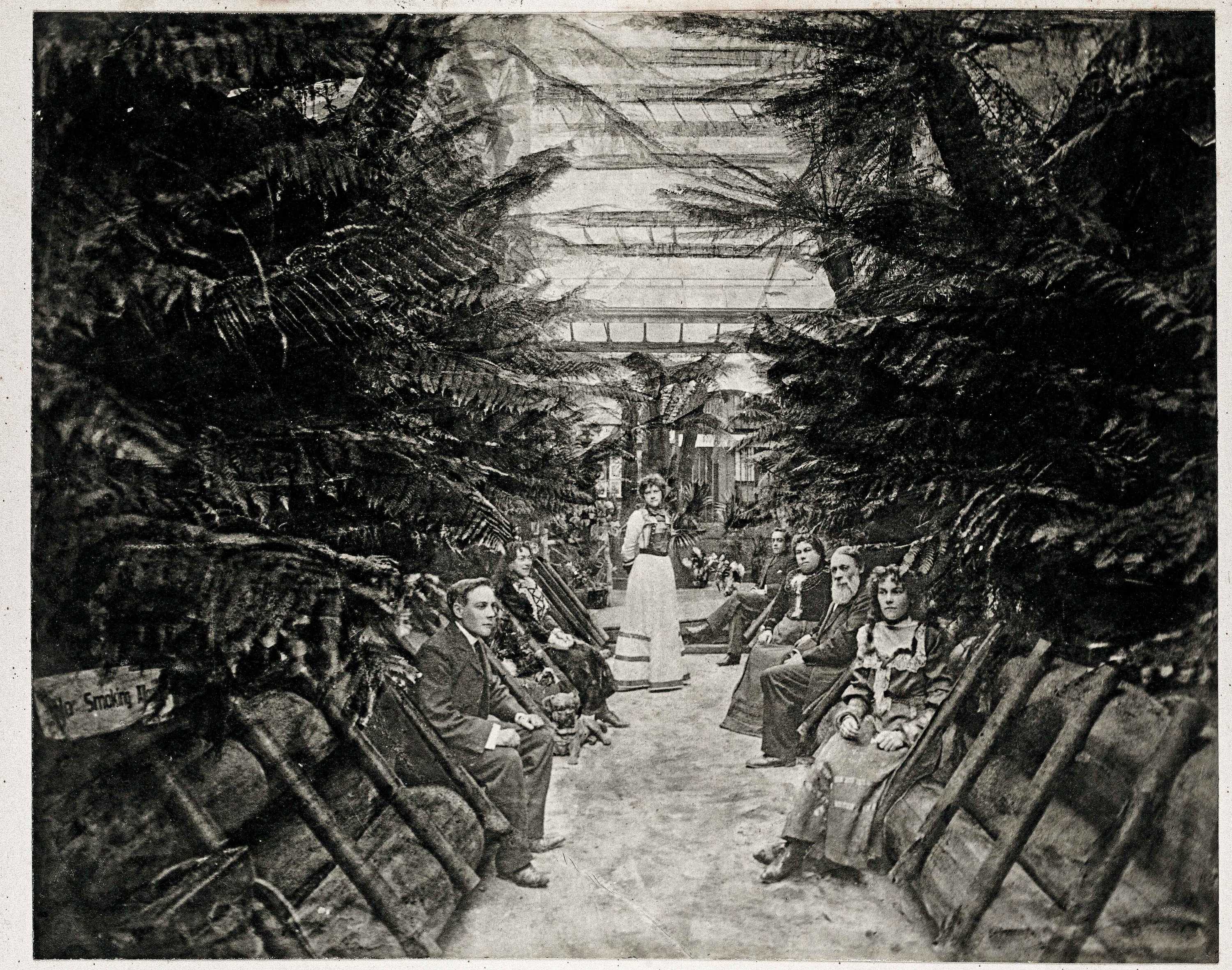 Millions of books, monkeys and an orchestra — the story of EW Cole and ...