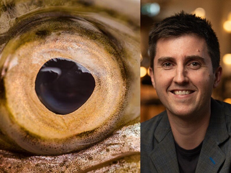 Aussie chef creates fish eye ice cream - ABC listen