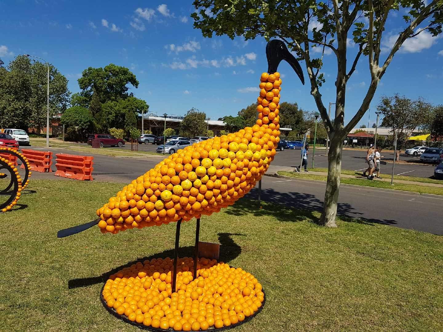 Citrus sculptures to squeeze thousands of visitors into Griffith's ...