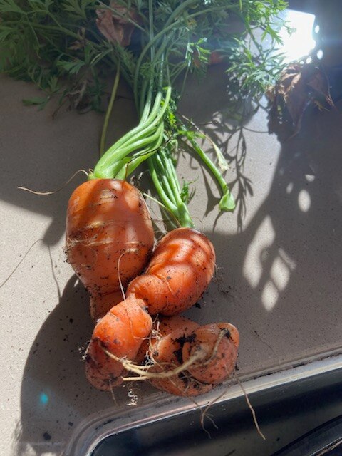 The good, the bad and the fugly - ABC listen