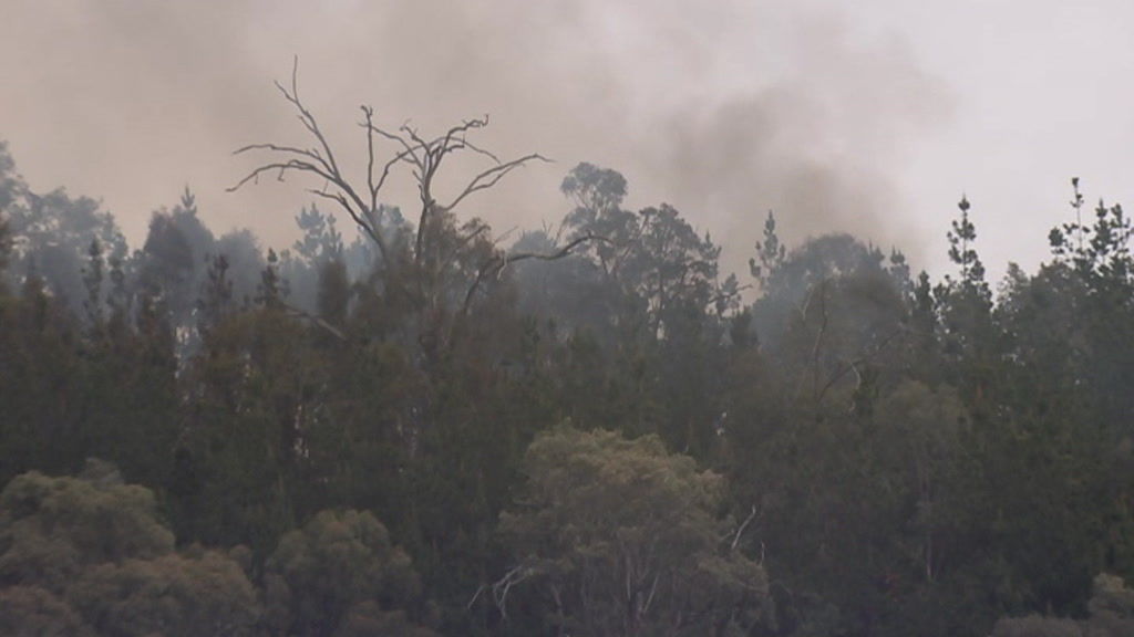 ACT bushfire spreads quickly towards south Canberra - ABC News