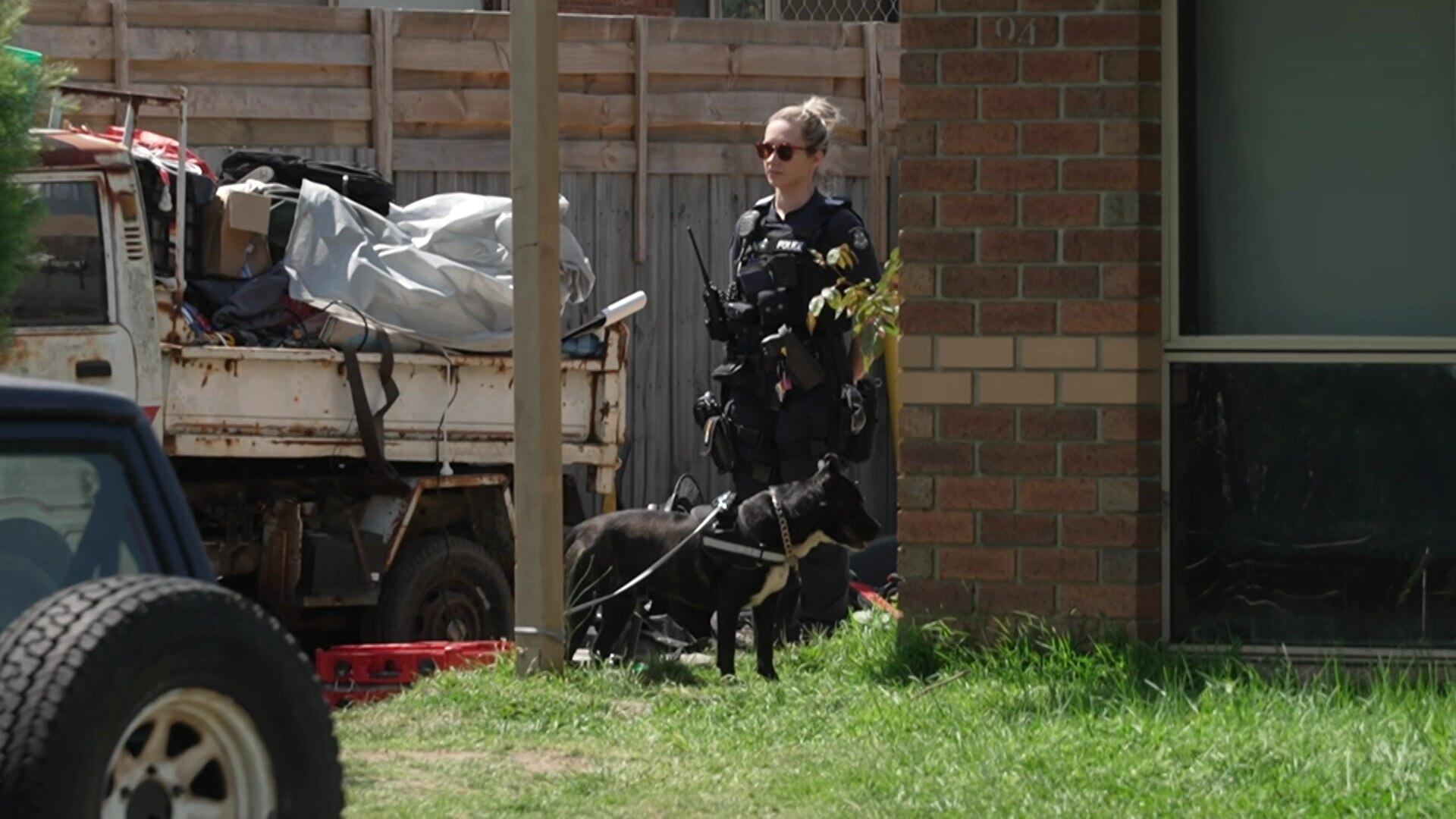 Woman critically injured in dog attack in Melbourne's south-east - ABC News