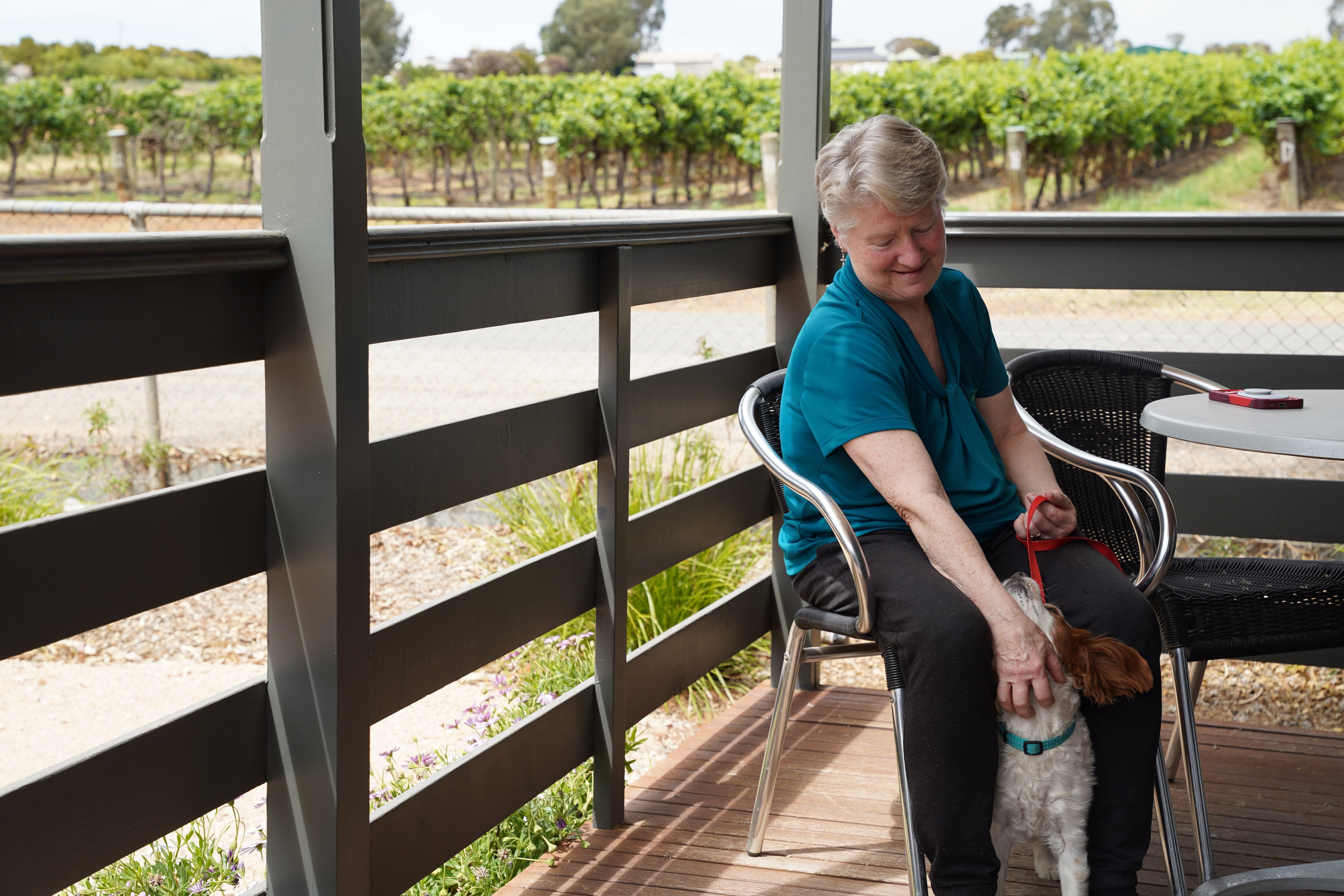 Kingston on Murray Caravan Park reopens after River Murray floods - ABC ...