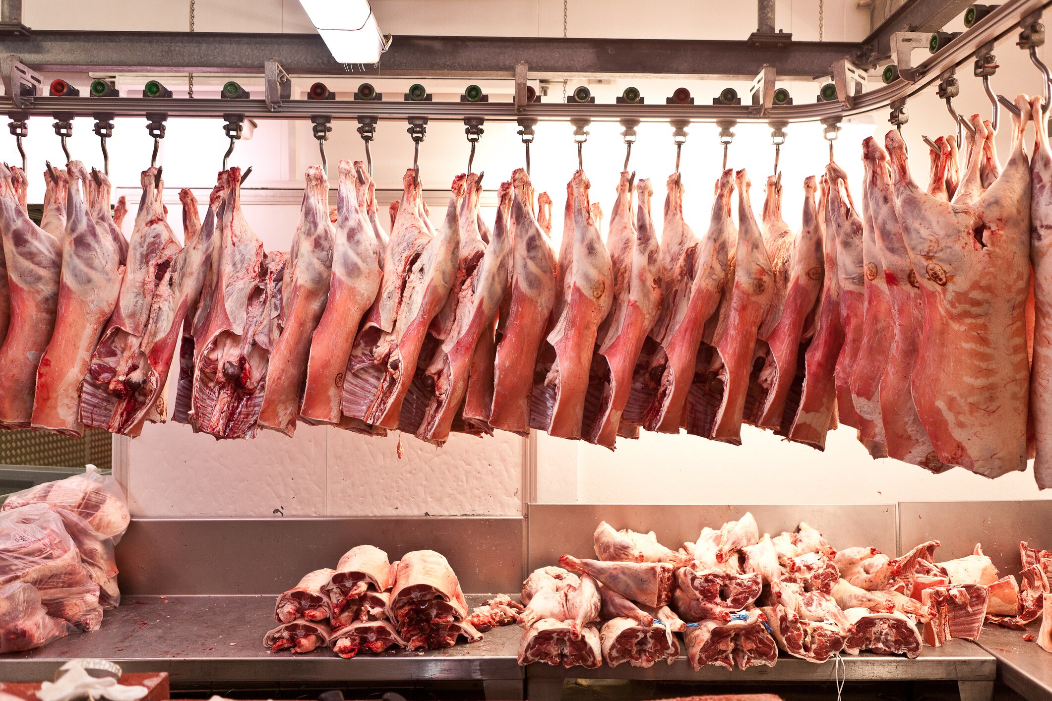 Our audio favourites: Meat factory ear worms - ABC listen