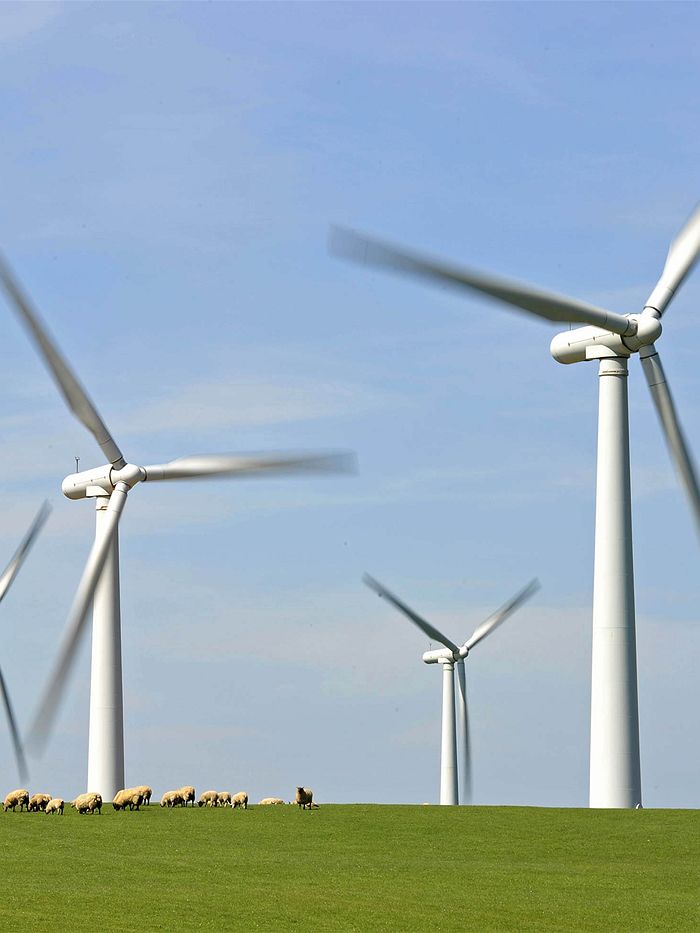 Noise from wind farms can be heard in houses 3km away - ABC listen